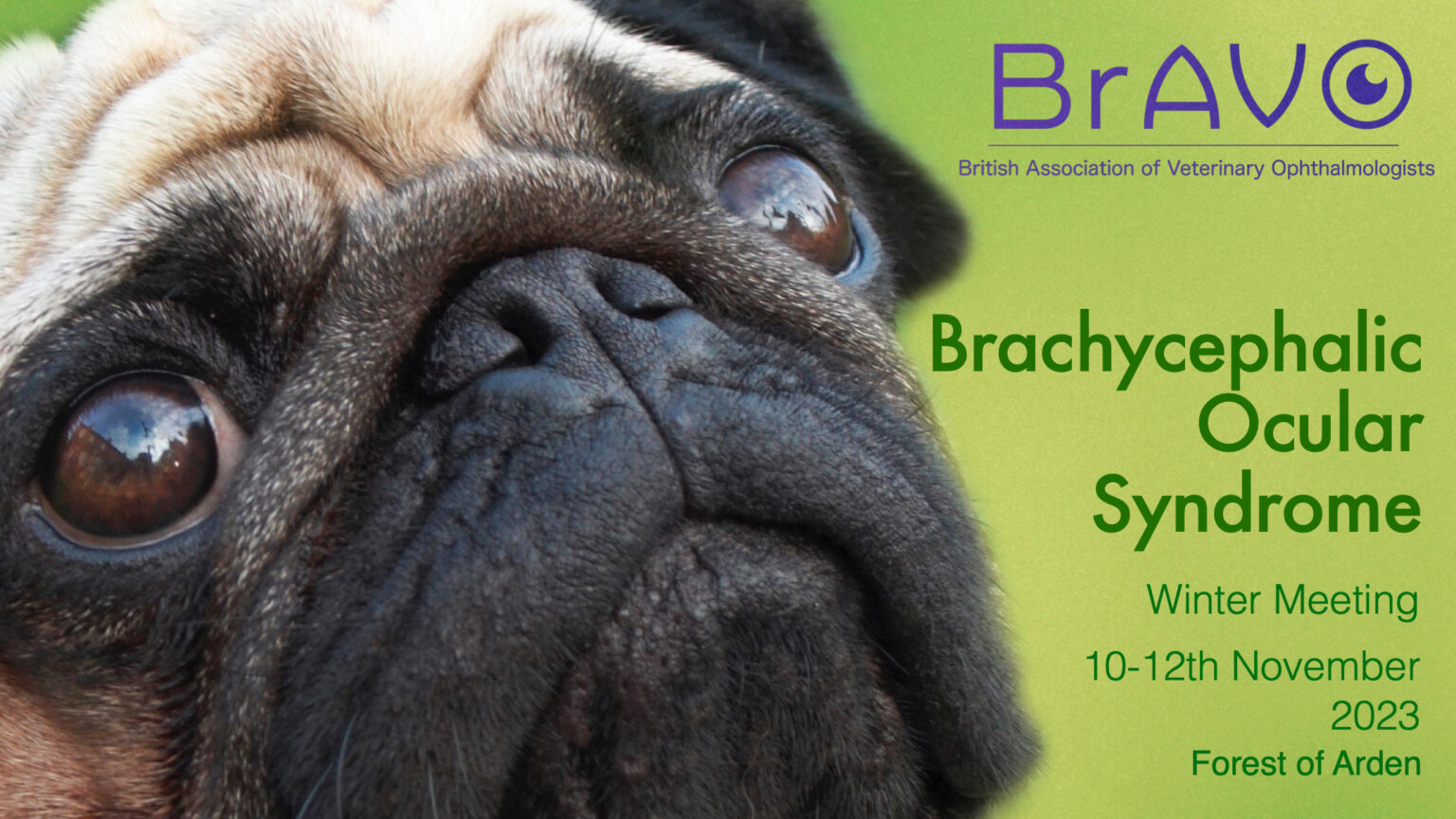 BrAVO – British Association of Veterinary Ophthalmologists ...